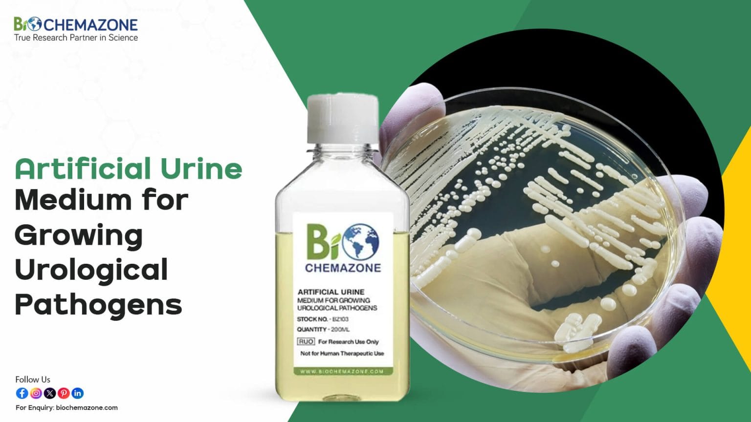 Artificial Urine Medium for Urological Pathogens (BZ103)
