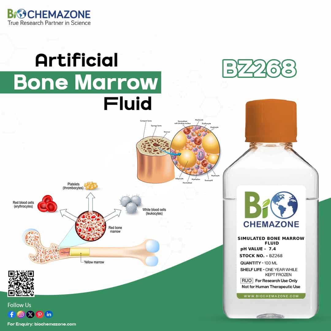 High-Quality Artificial Bone Marrow Fluid for Labs