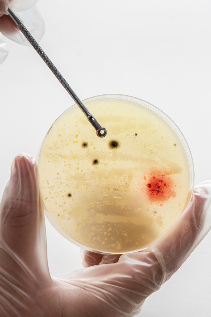 Artificial Test Soil - Biochemazone