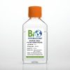 Human Oral Fluid Substitute BZ494 | Biochemazone